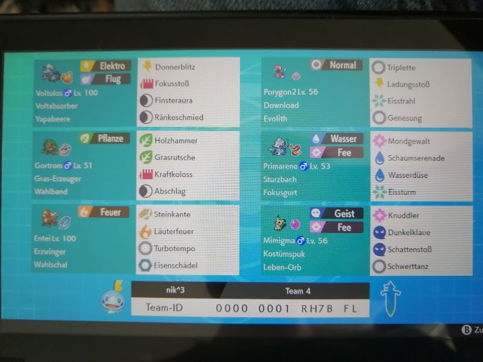 Pokemon Team Report SwSh Season 13 | Niklas Riewald